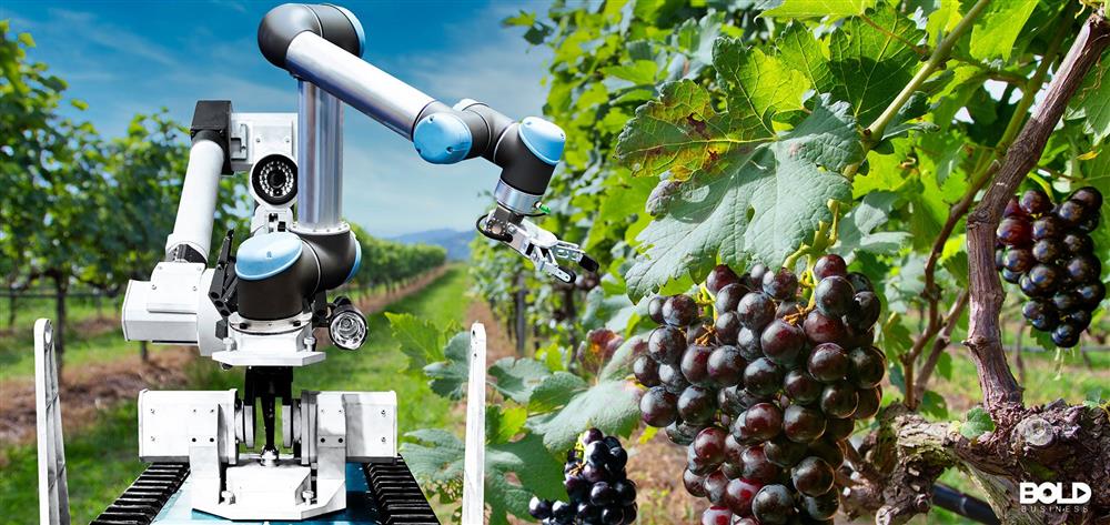 WorldSkills Lyon 2024 Autonomous Mobile Robotics Competition | Studica ... WorldSkills Lyon 2024 Autonomous Mobile Robotics Competition | Studica ...